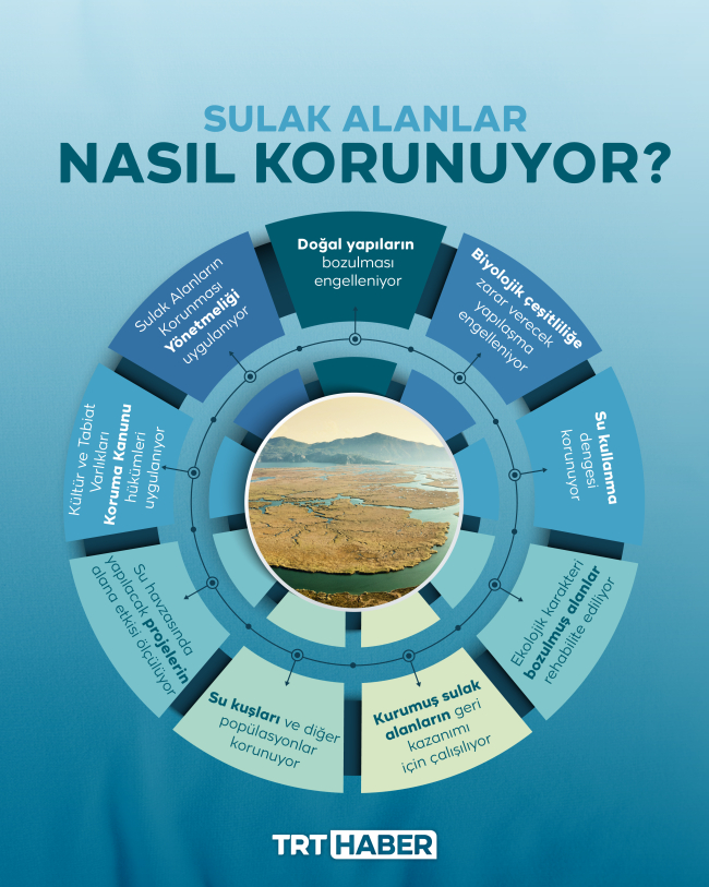 Türkiye’nin Zenginliği: Sulak Alanlar - Son Dakika Haberleri