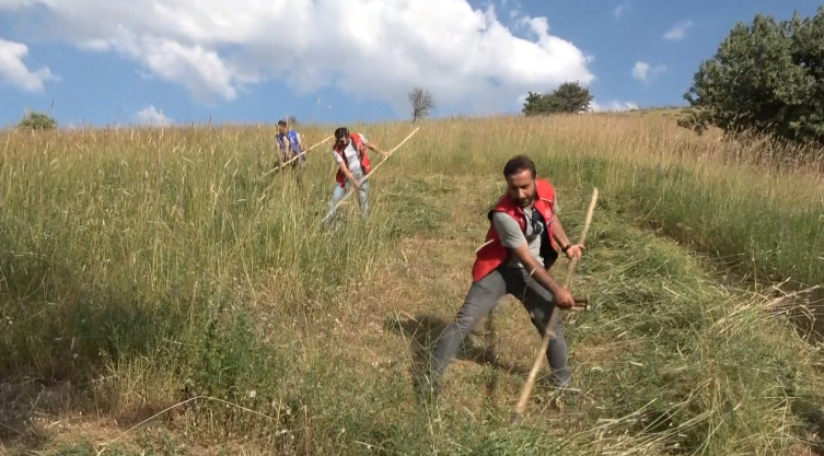 Muşlu gençler, hastası olan yaşlı adamın otunu biçti - Son Dakika Haberleri