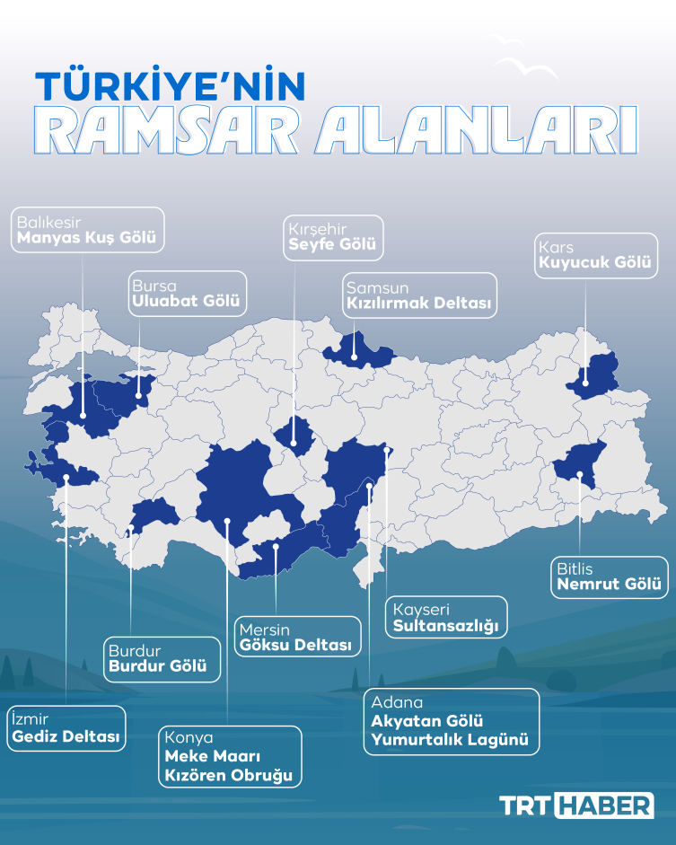 Türkiye'de 131 sulak alan koruma altında - Son Dakika Haberleri