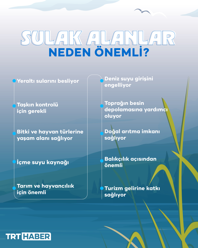 Türkiye'de 131 sulak alan koruma altında - Son Dakika Haberleri