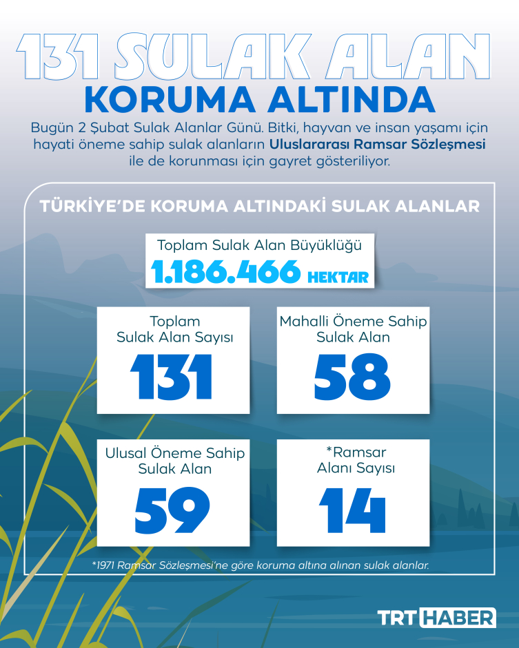Türkiye'de 131 sulak alan koruma altında - Son Dakika Haberleri